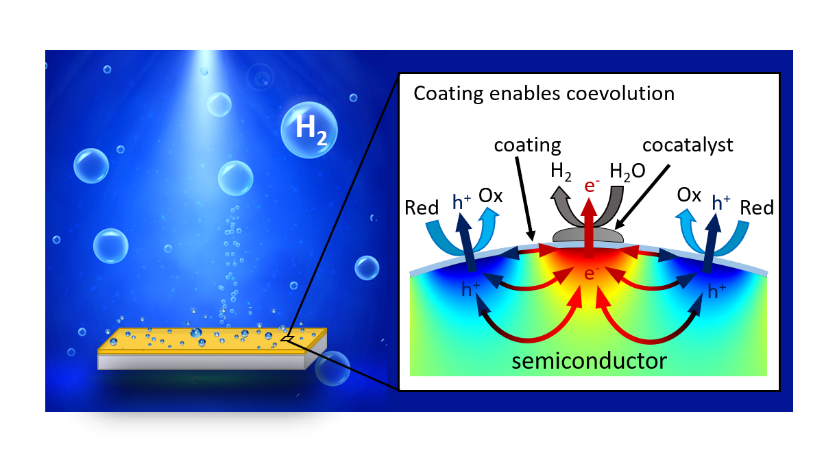 Publications – Lightcatalysis